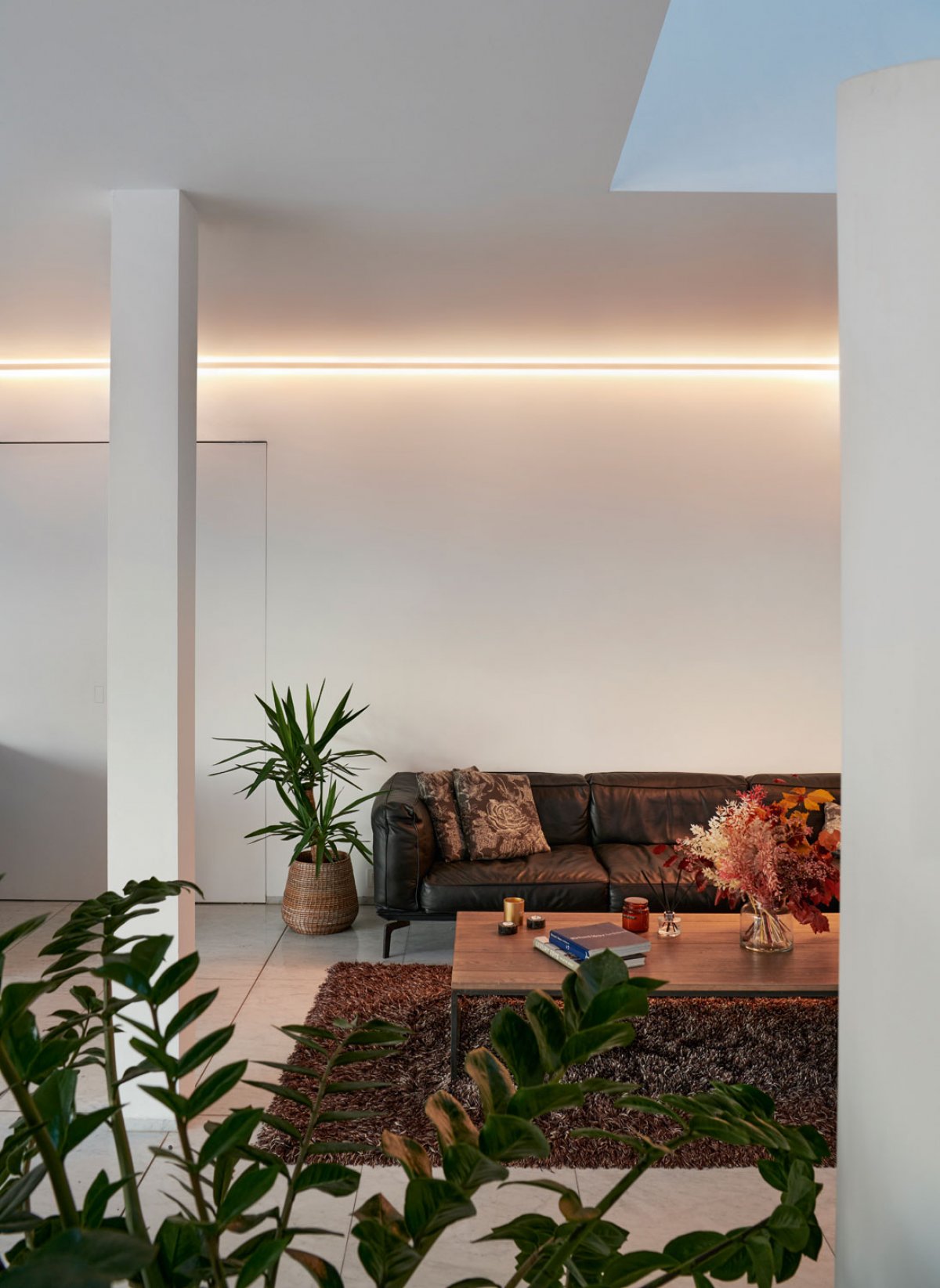 CONNECT-I profile - DELTALIGHT