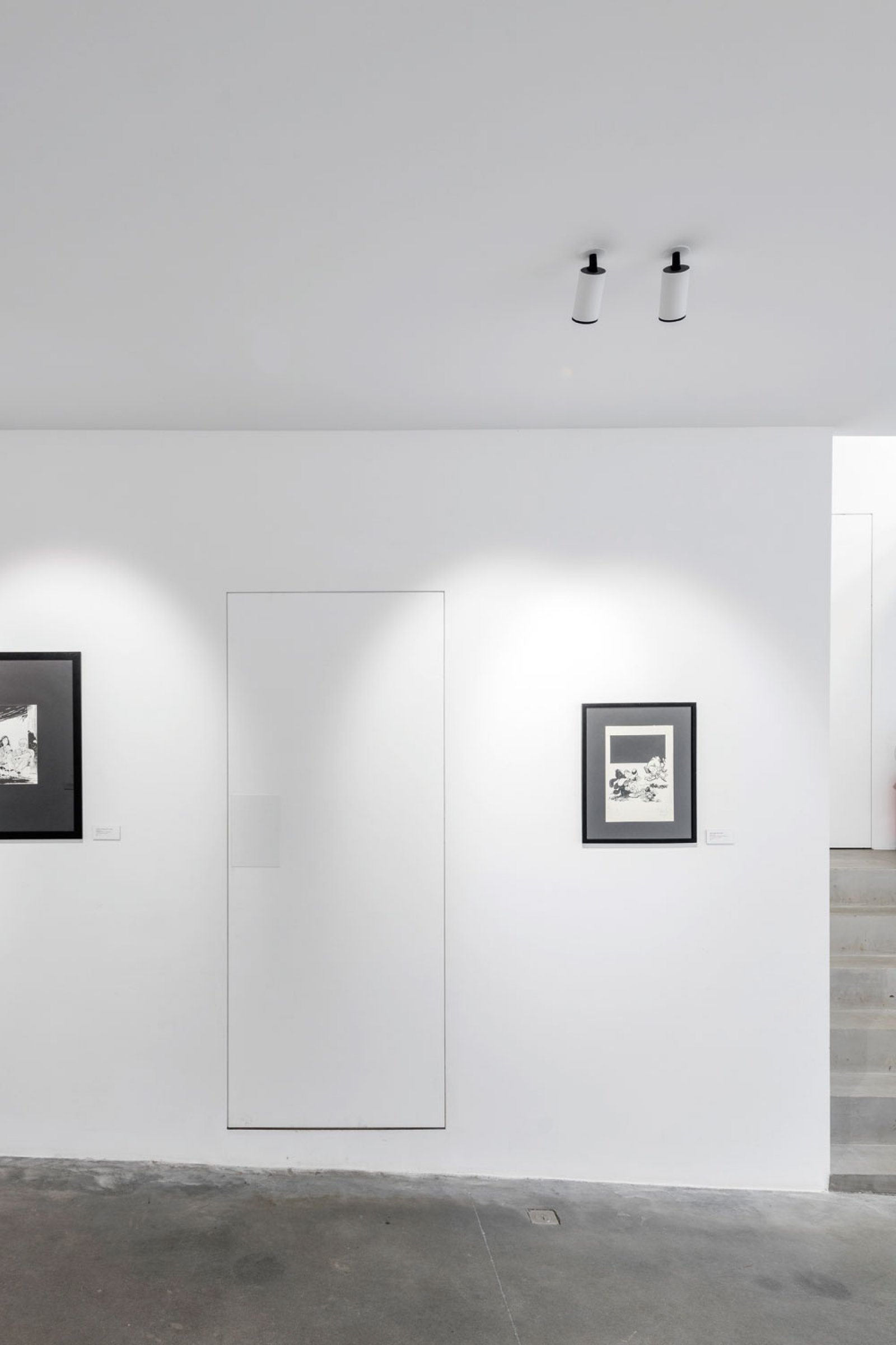 SPY FOCUS CLIP - DELTALIGHT