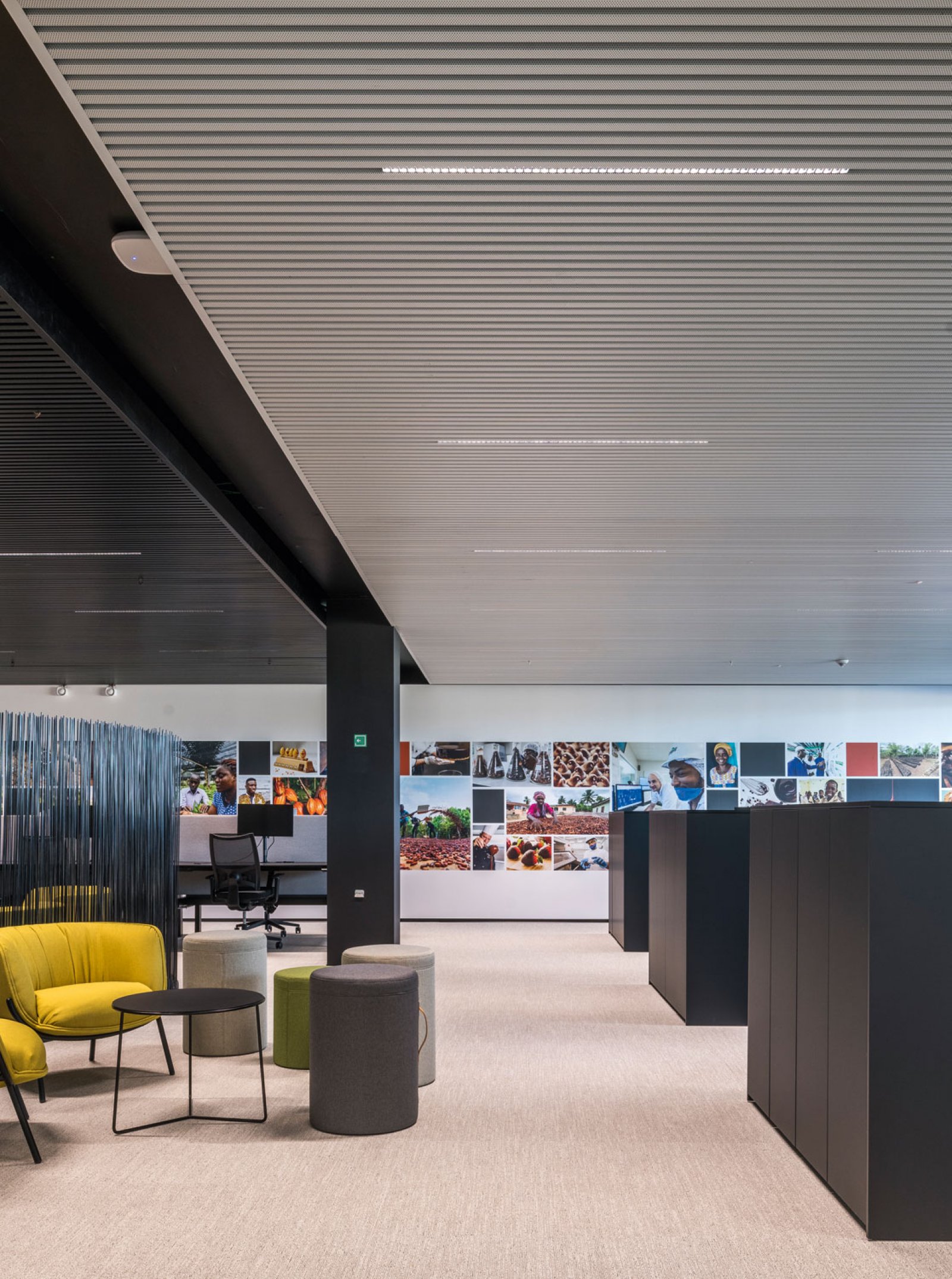 D-LINER - DELTALIGHT