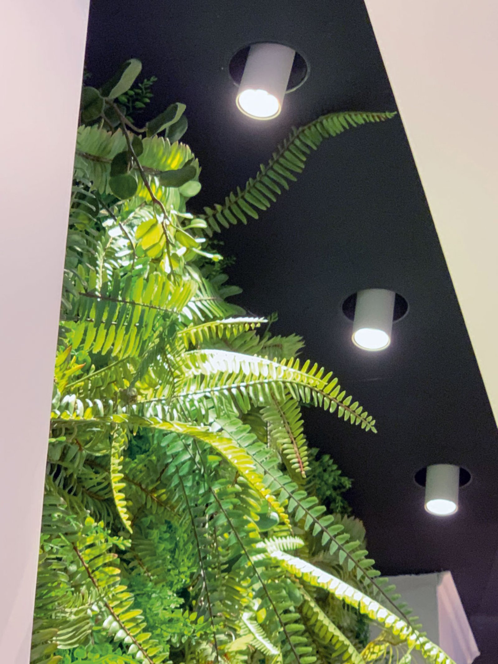 SPY 39 TRIMLESS - DELTALIGHT