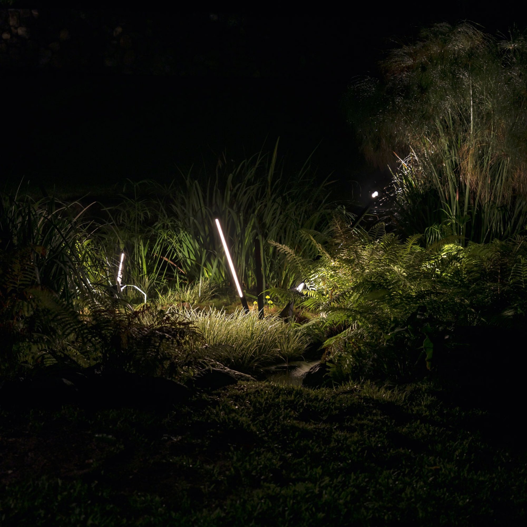 STIEVIE - DELTALIGHT