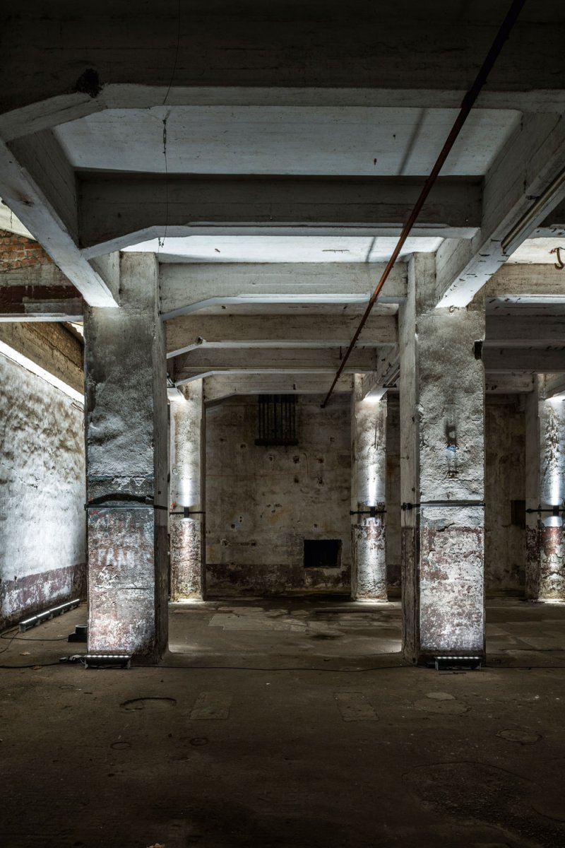 LOGIC LINEAR - DELTALIGHT