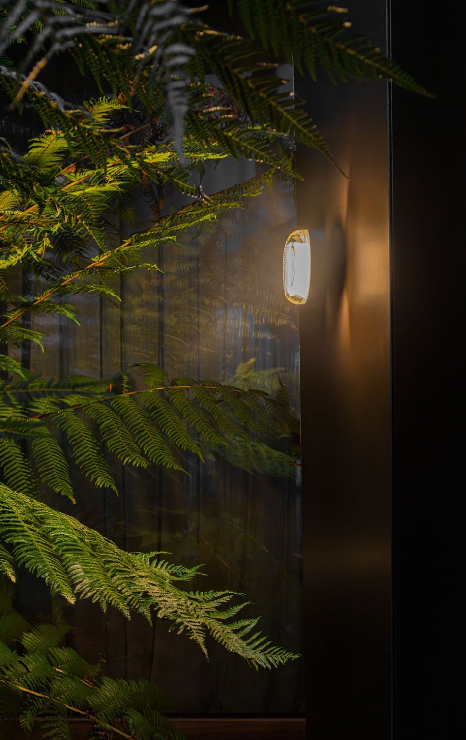 NEBBIA 12 - DELTALIGHT