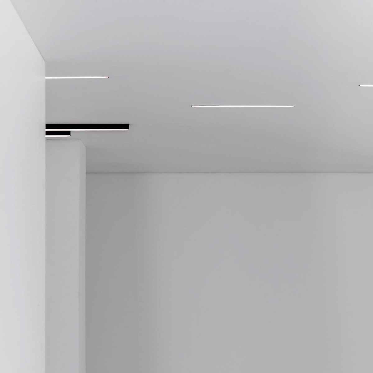 TAGLINE TRIMLESS WALL profile - DELTALIGHT
