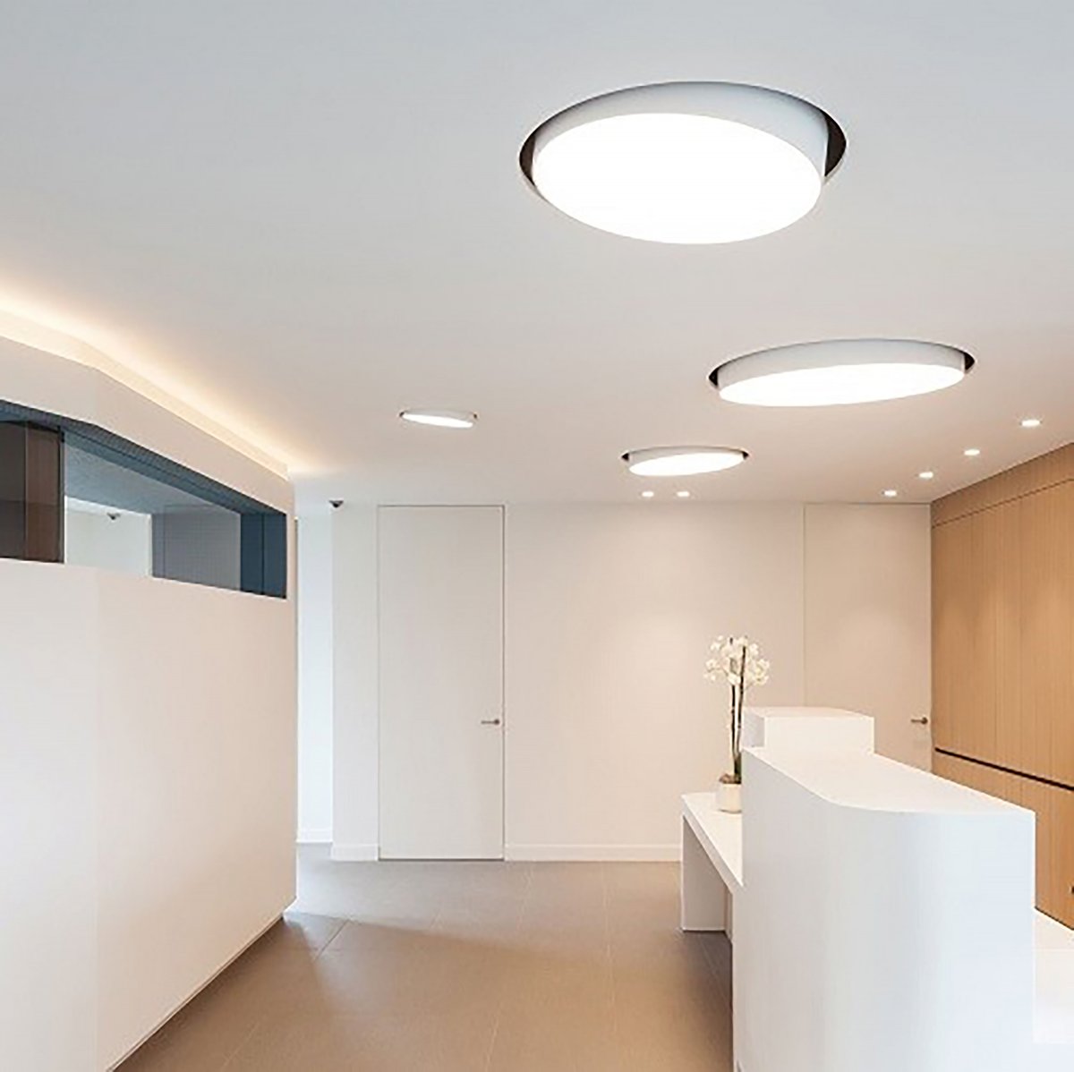Lighting Experience | Stretch Ceiling Lighting - Delta Light