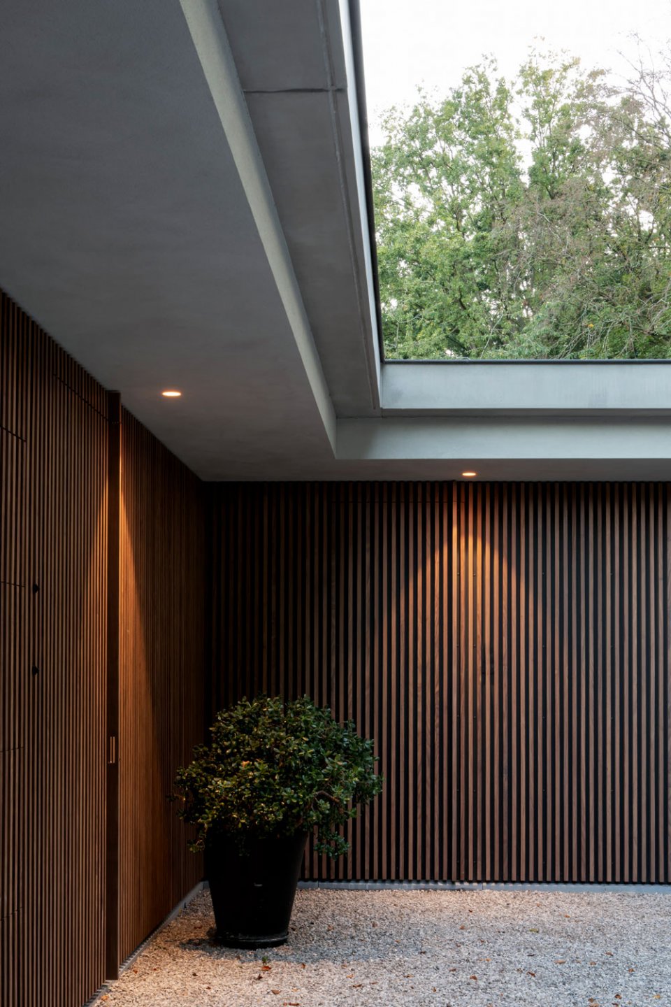 ENTERO - Delta Light