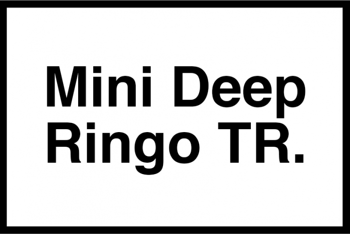 Mini Deep Ringo Trimless - Delta Light